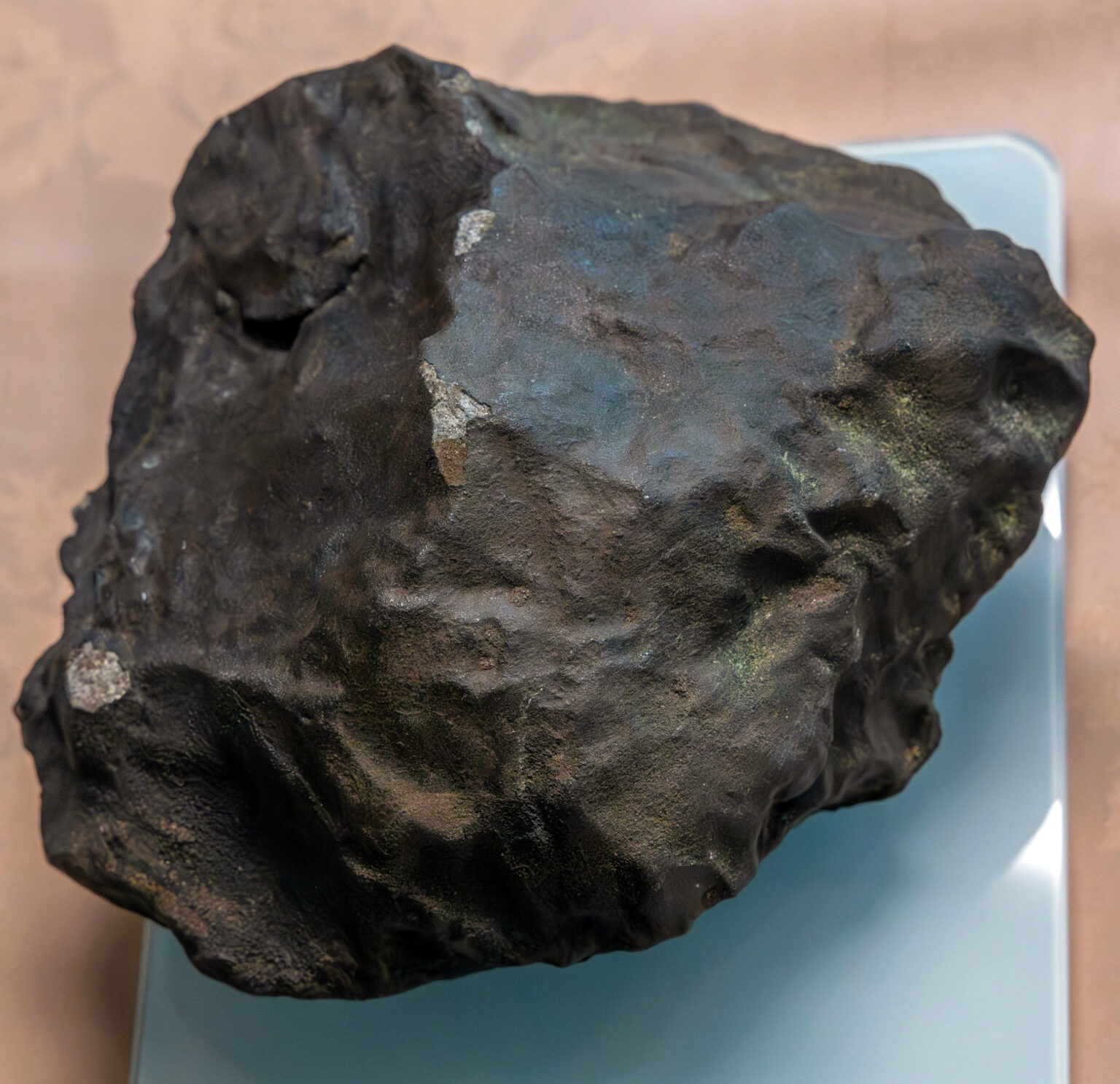 ELMSHORN (H chondrite breccia) meteorite fall, (21 confirmed finds ...