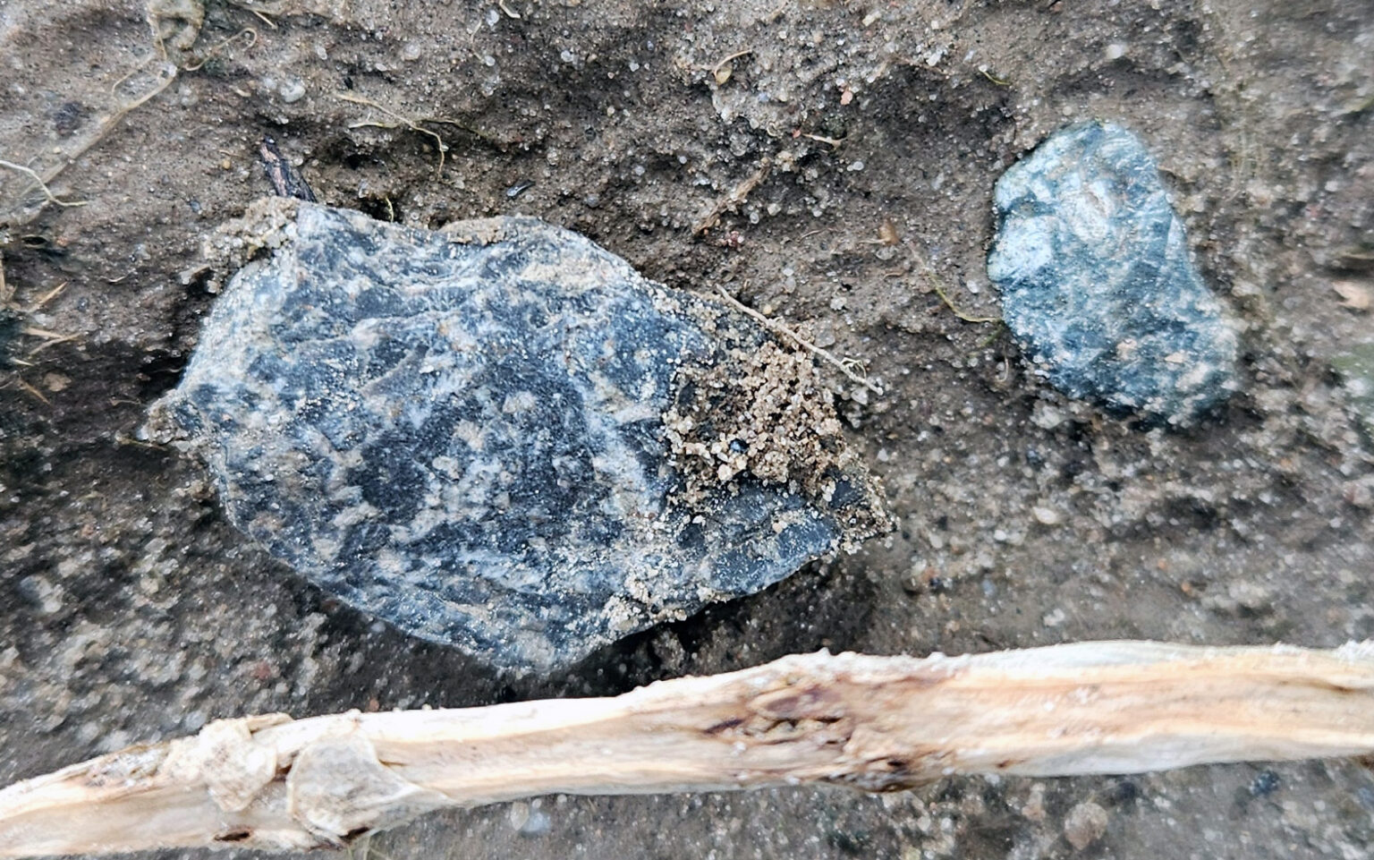 RIBBECK (2024 BX1) Aubrite meteorite fall (~ 1760 g) between Selbelang ...